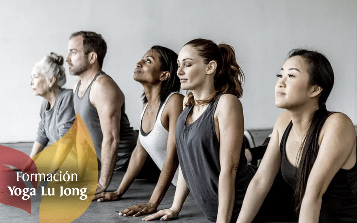 El poder del Yoga: rejuvenece tu mente y tu cuerpo